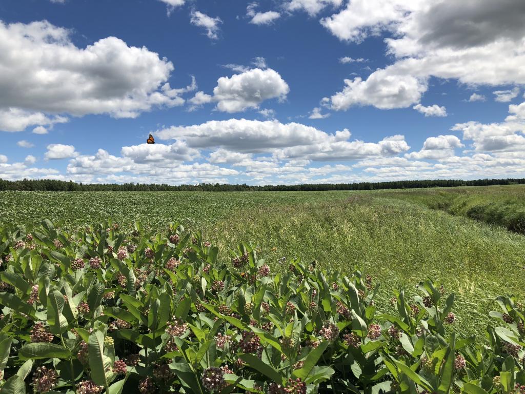 Minnesota Soil Loss and Buffer Law – Koochiching SWCD