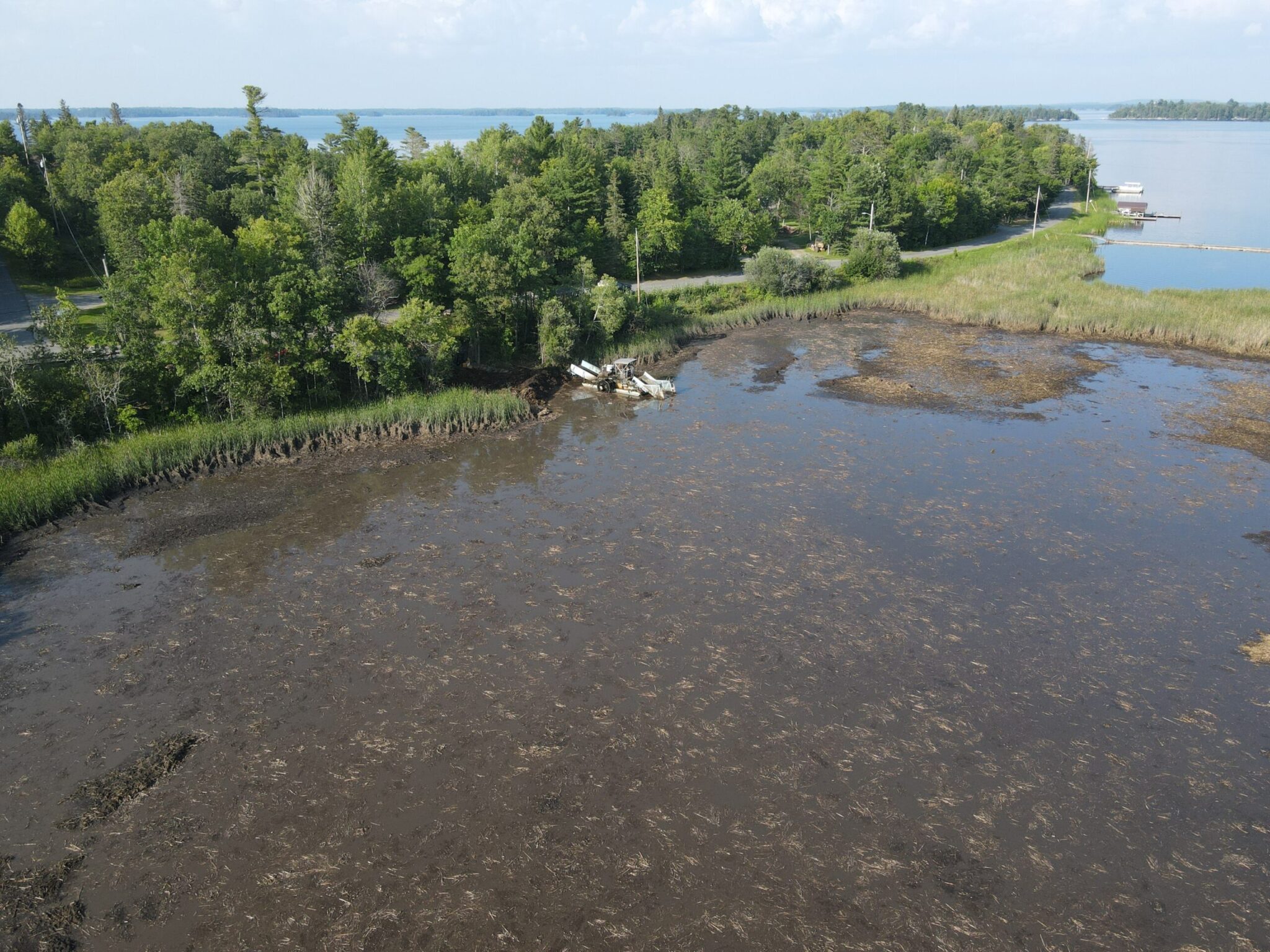 Hybrid Cattail Removal And Water Flow Enhancement Project – Koochiching ...