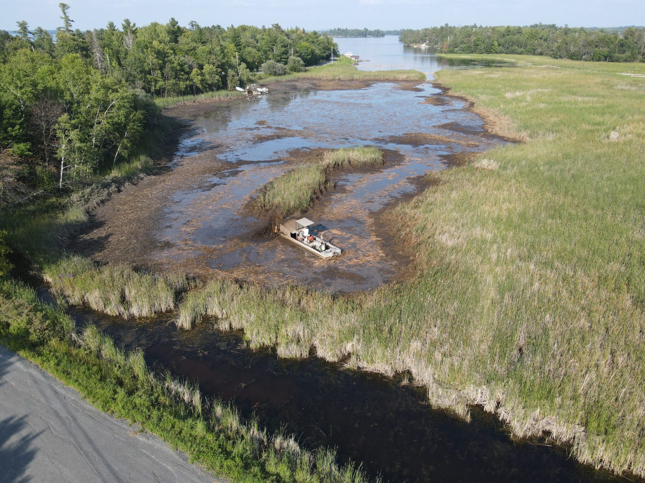 Hybrid Cattail Removal And Water Flow Enhancement Project – Koochiching ...